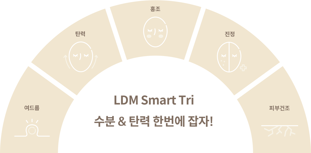 LDM – UPIC CLINIC JP